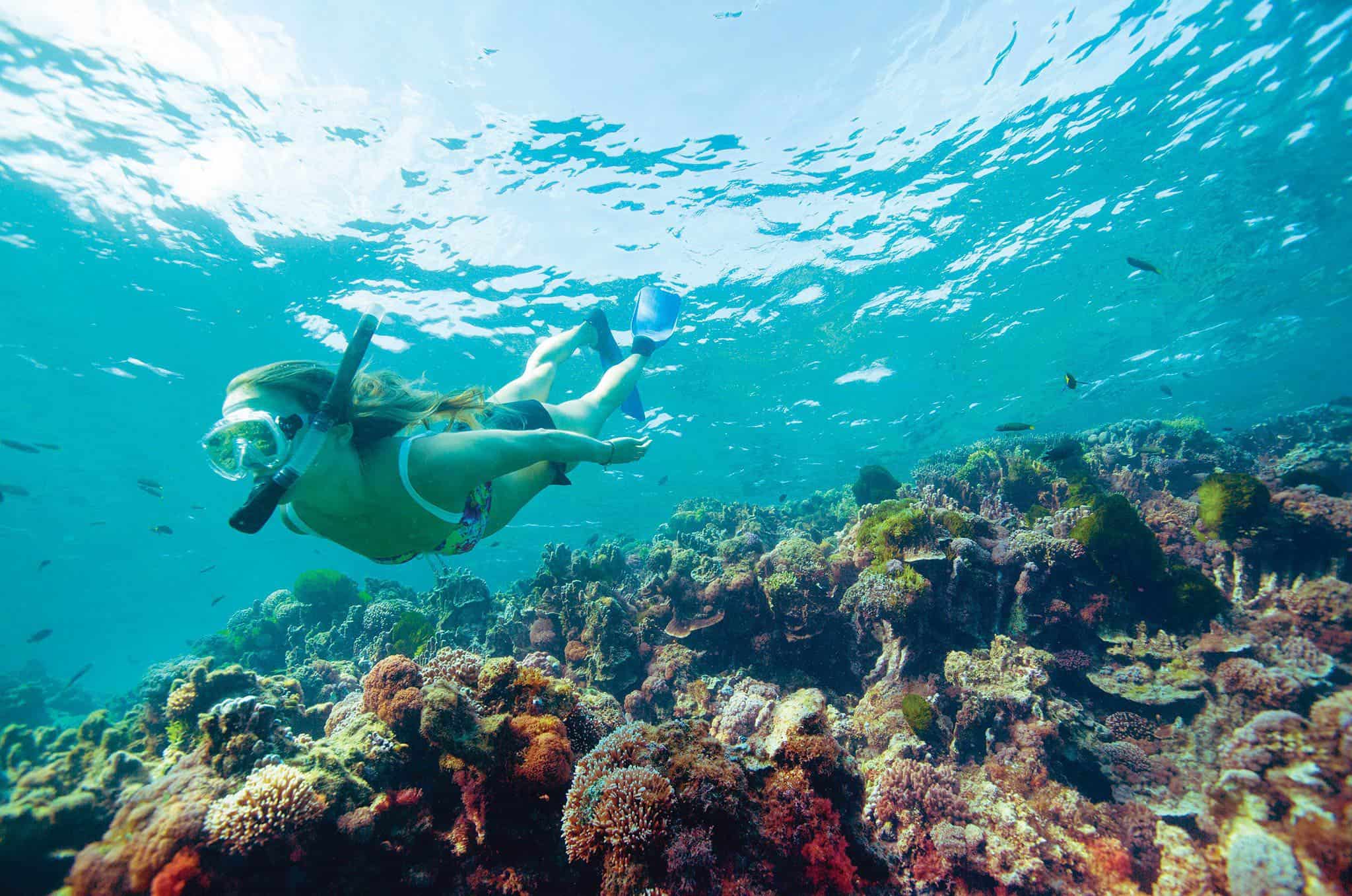 Lord Howe Island. A remote tropical paradise in the Pacific Ocean.