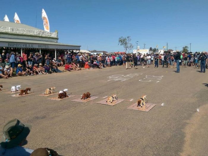 Birdsville, Queensland, and our favourite six activities | Outback Air ...